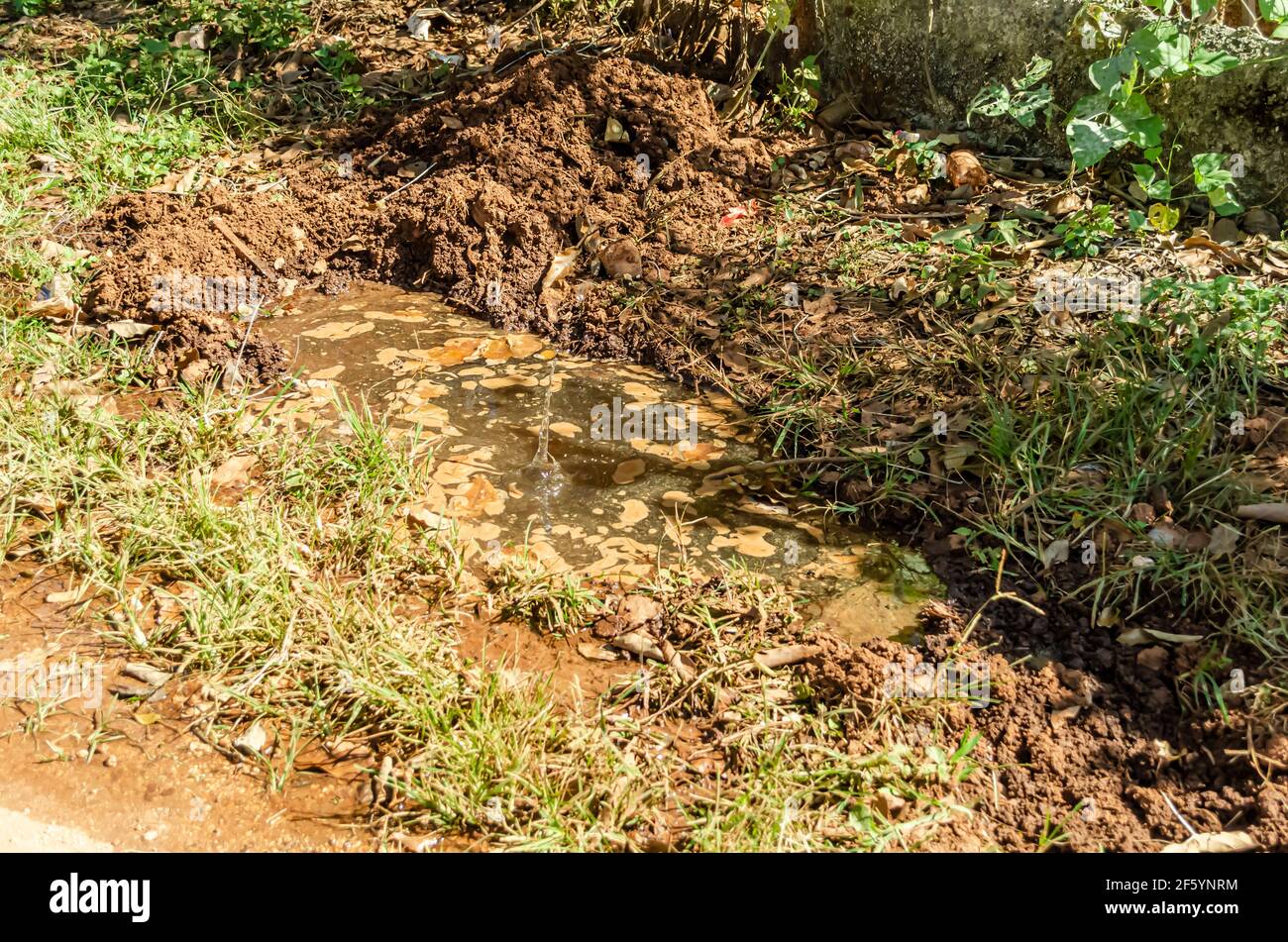 Mud And Dirty Water Puddle Stock Photo - Alamy
