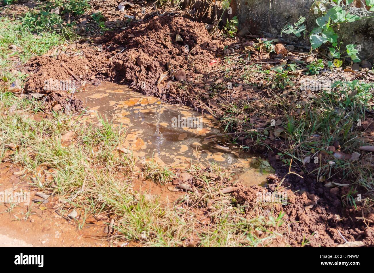 Dirty Water Puddle Stock Photo - Alamy