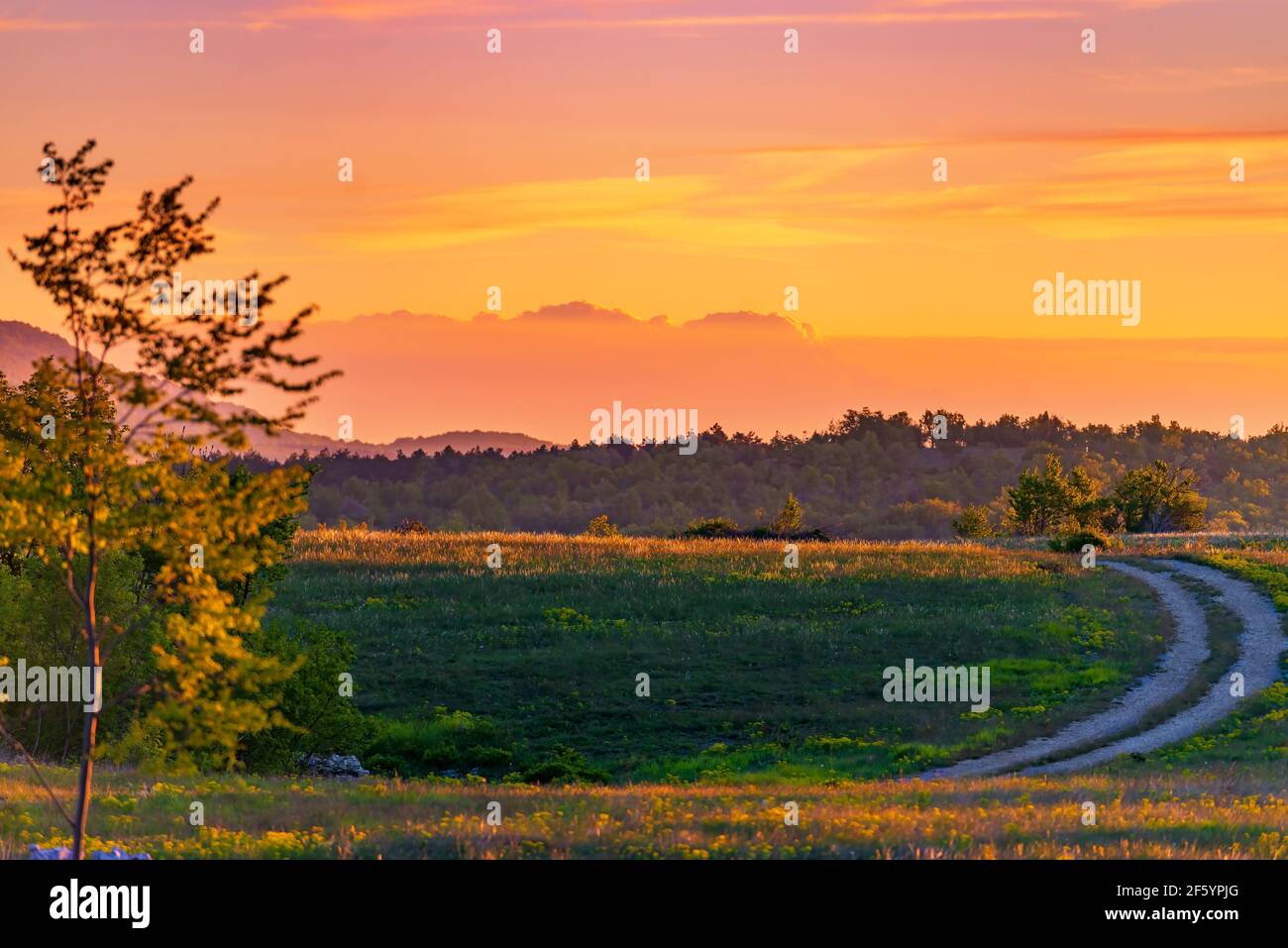 Raspadalica hi-res stock photography and images - Alamy