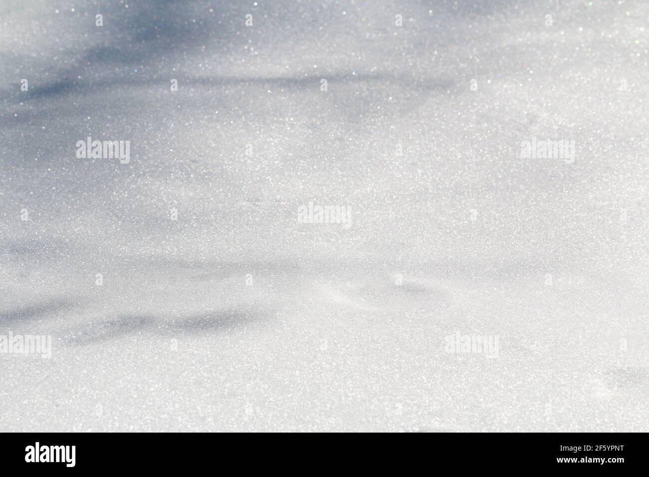 Winter snow. Snow texture Top view of the snow. Texture for design ...