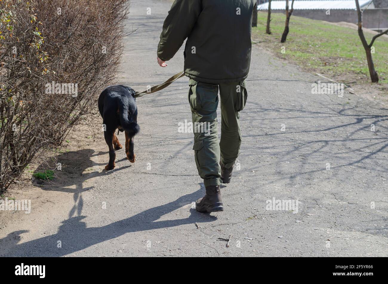 A military man is patrolling the street with a dog. Young adult in ...