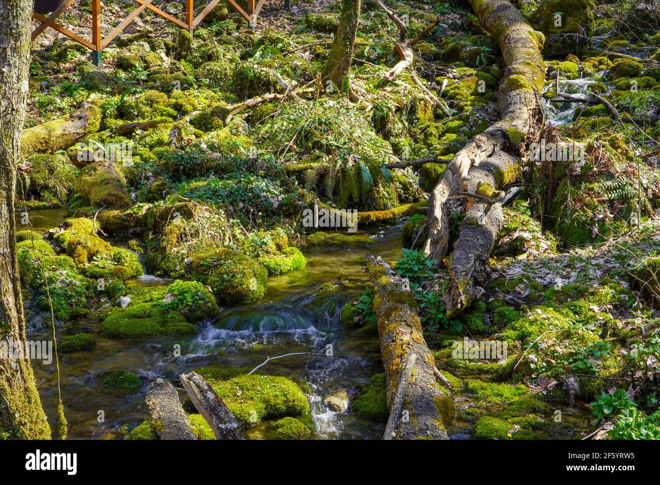 Water significance hi-res stock photography and images - Alamy