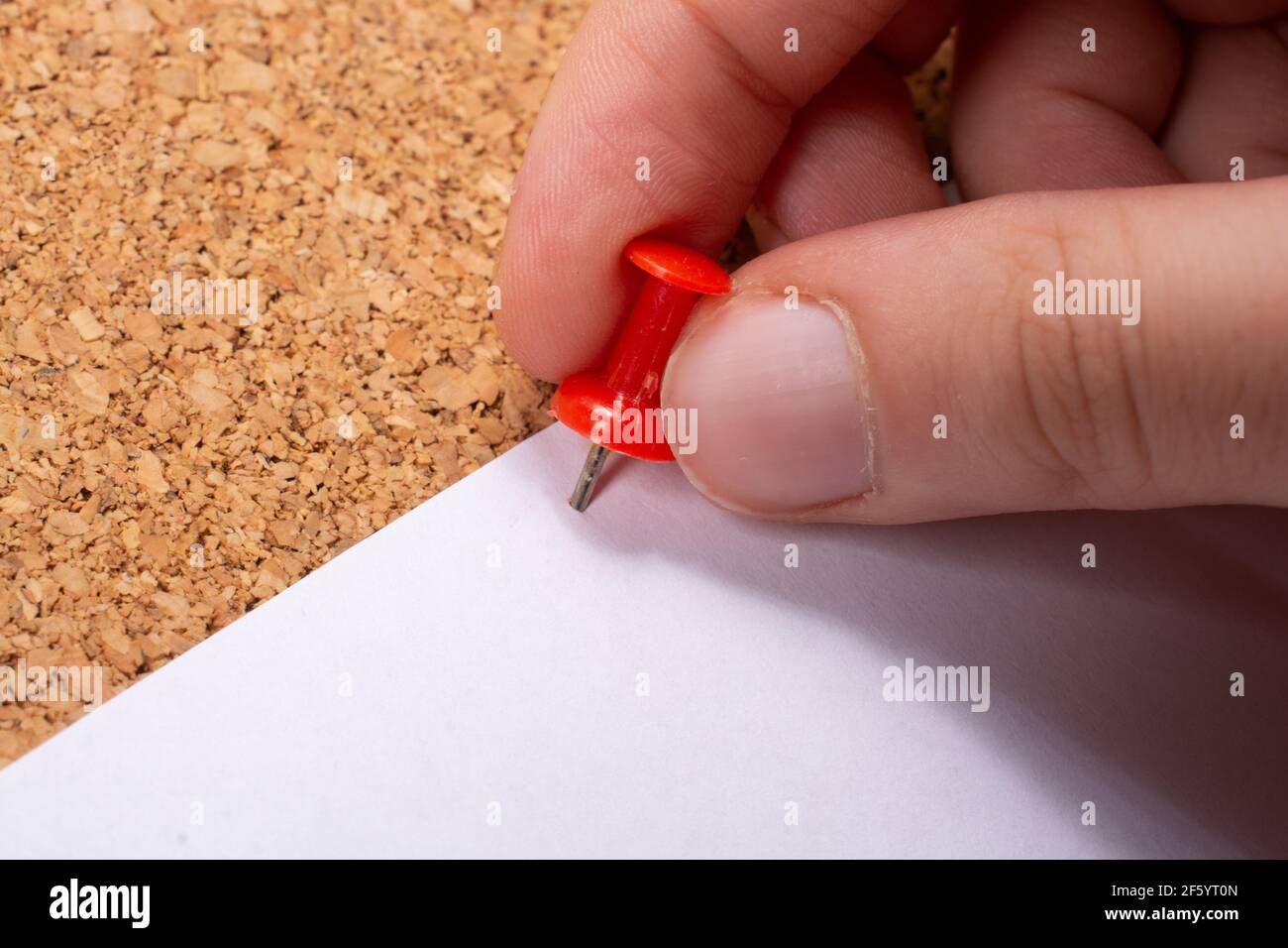white paper background and pin Stock Photo - Alamy