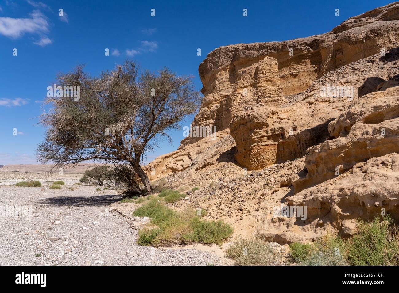 Negev Desert Israel Stock Photo - Alamy