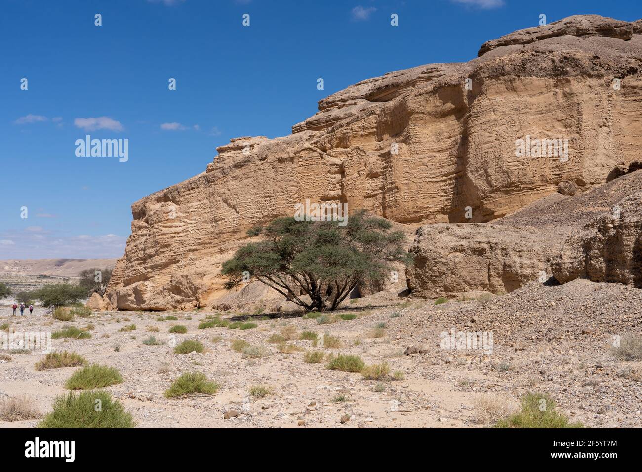 Negev Desert Israel Stock Photo - Alamy