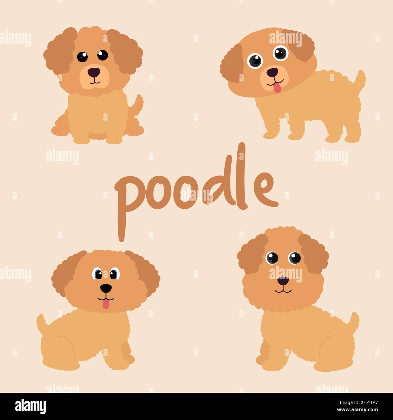 Set Character Animal In Various Poses Of Cute Poodle Dog Is Sitting ...