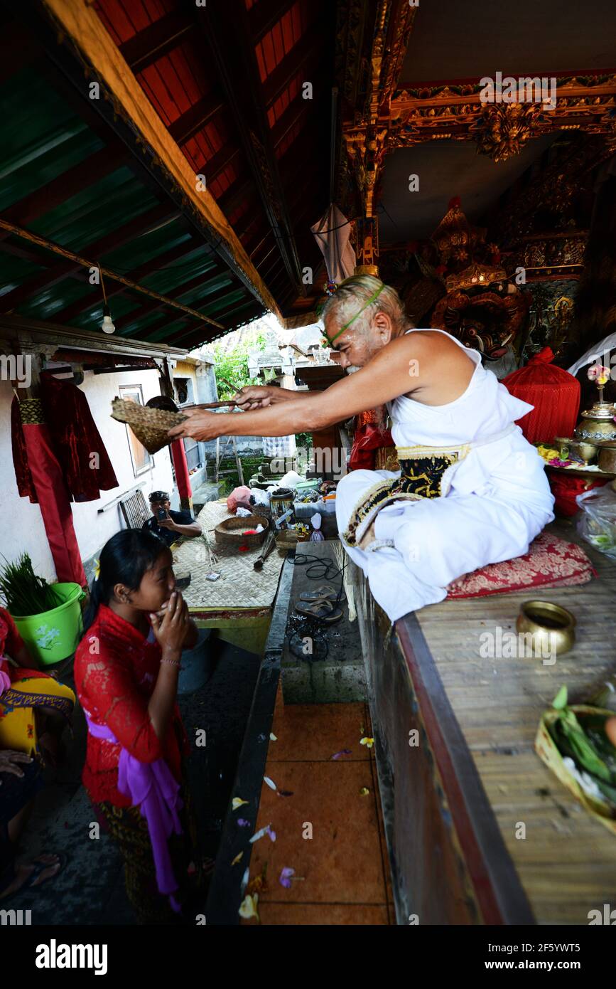 A Balinese Hindu priest blessing a groom in a pre wedding ceremony in a ...