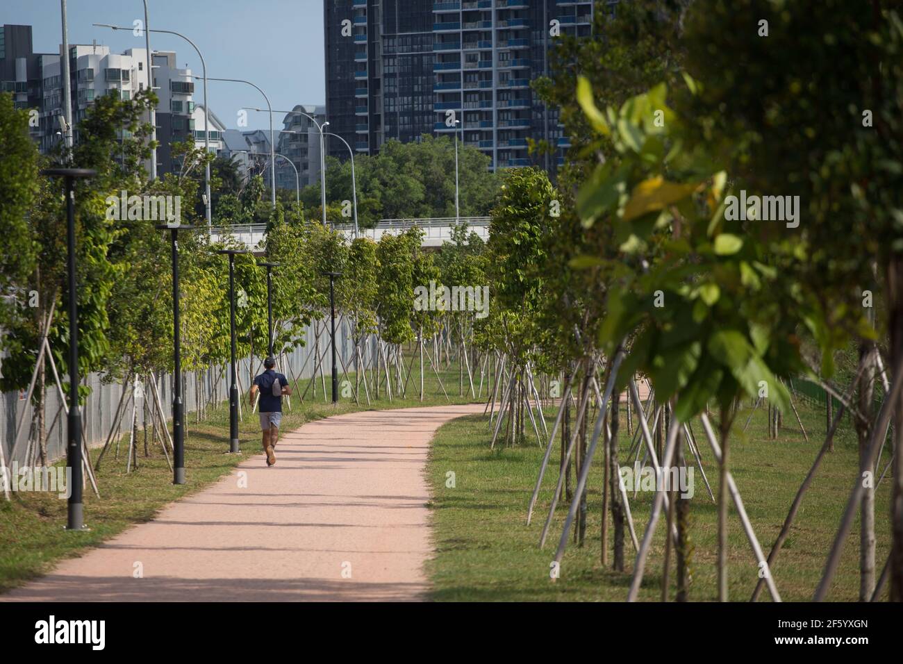 Back view of a jogger is running on a spacious man-made trail at a ...