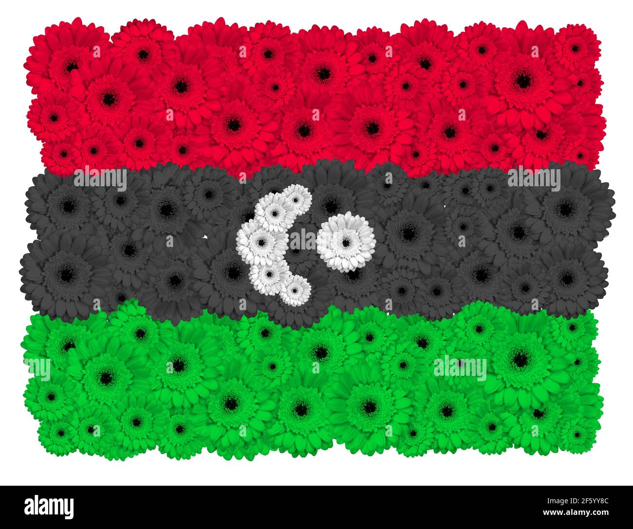 Libyan flag made of gerbera flowers, isolated on white Stock Photo - Alamy
