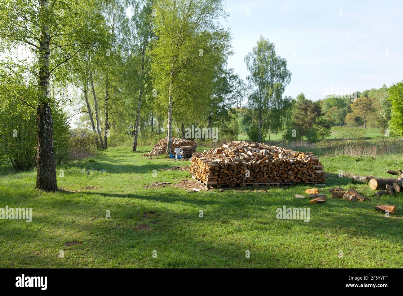 Stacked wood in the countryside. Springtime in the country, morning lit ...