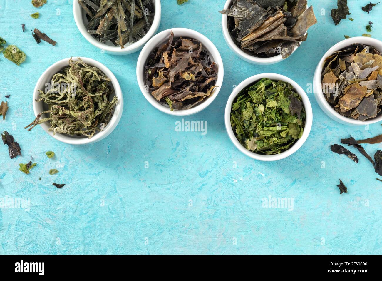 Seaweed, shot from above on a blue background with a place for text ...