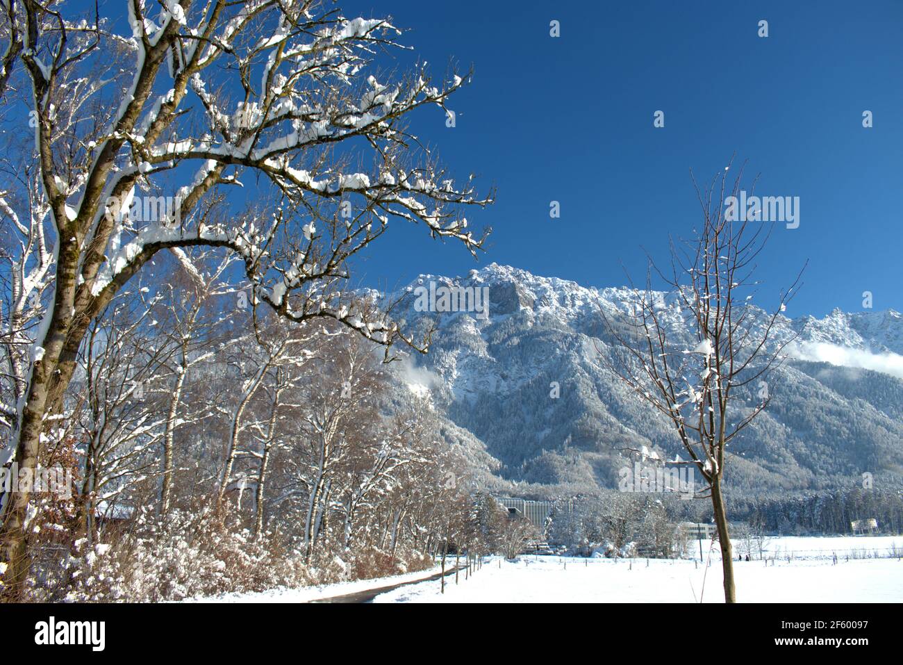 Fantastic winter scenery from the alps in Schaan in Liechtenstein 16.1. ...