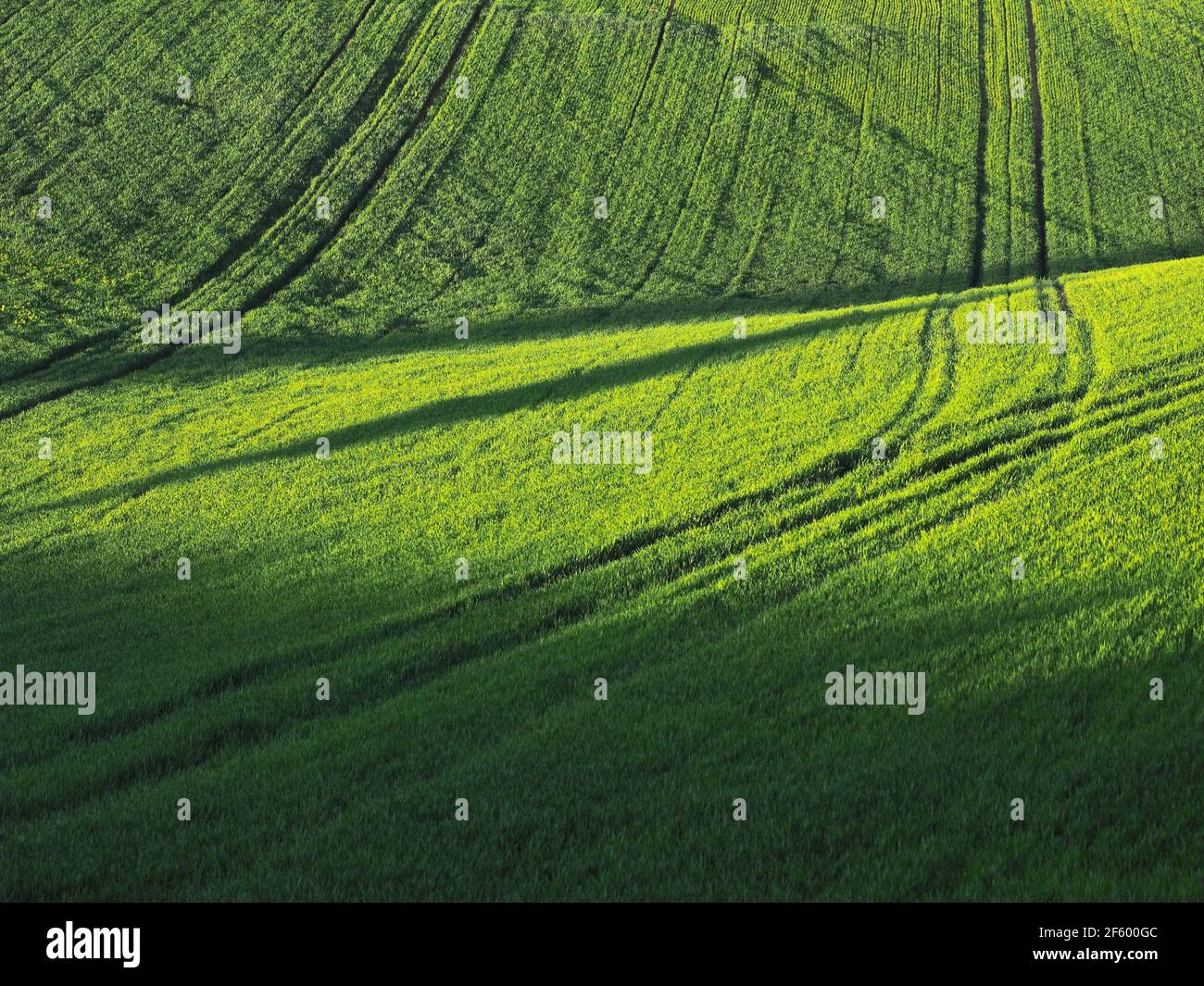Spring flowering landscape in Moravia in Central Europe Stock Photo - Alamy
