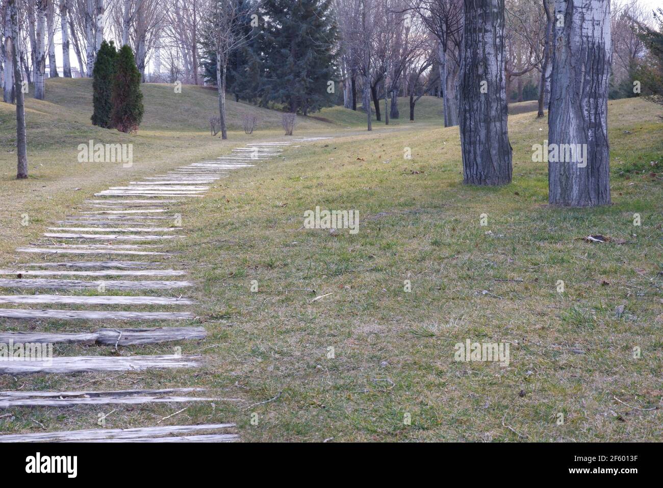 Woodland wooden steps hi-res stock photography and images - Alamy