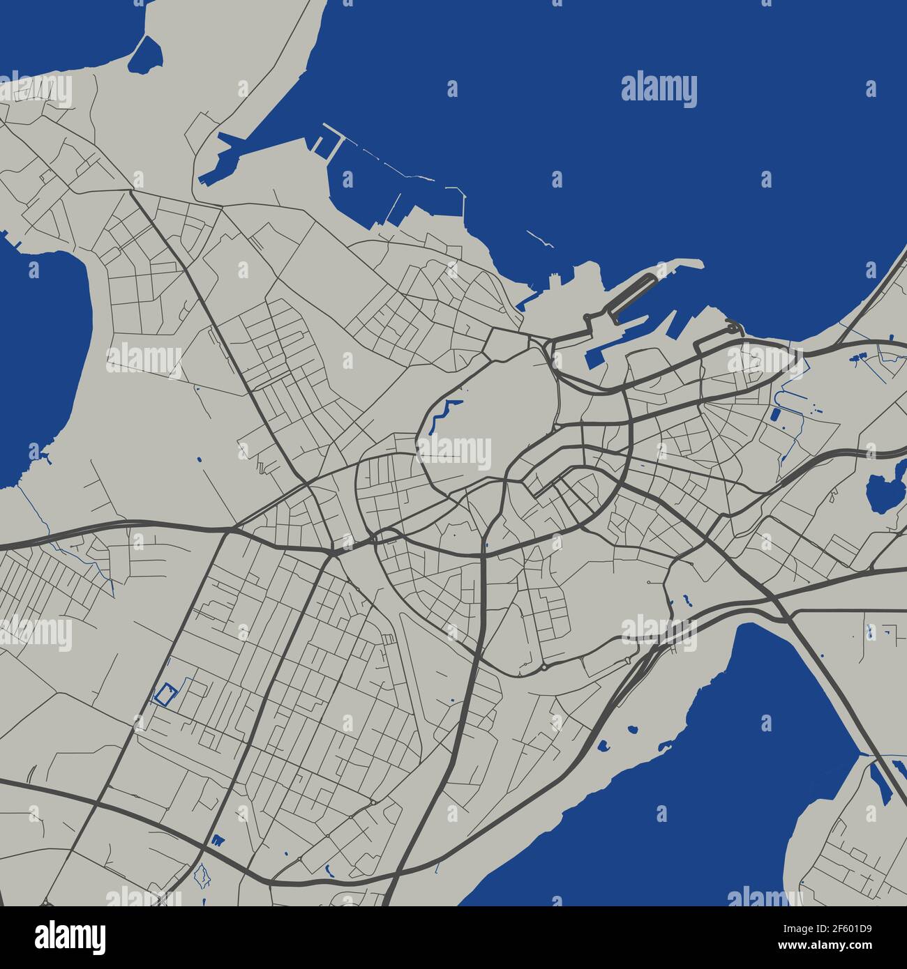 Vector map of Tallinn, Estonia, State of Estonia. Street map poster ...