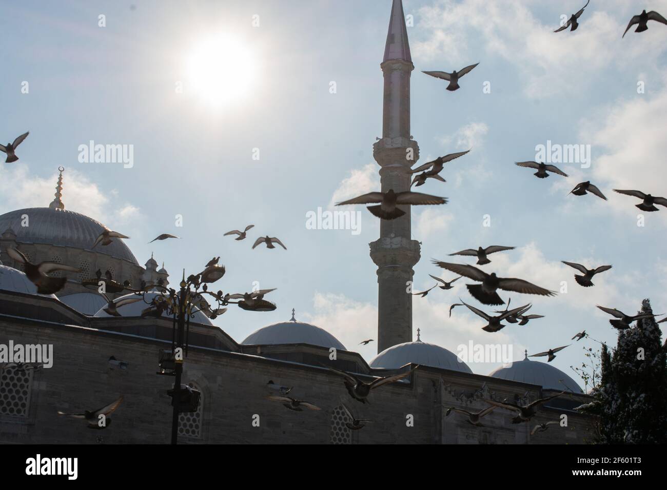 Pigeon flying around the mosque minarets Stock Photo - Alamy