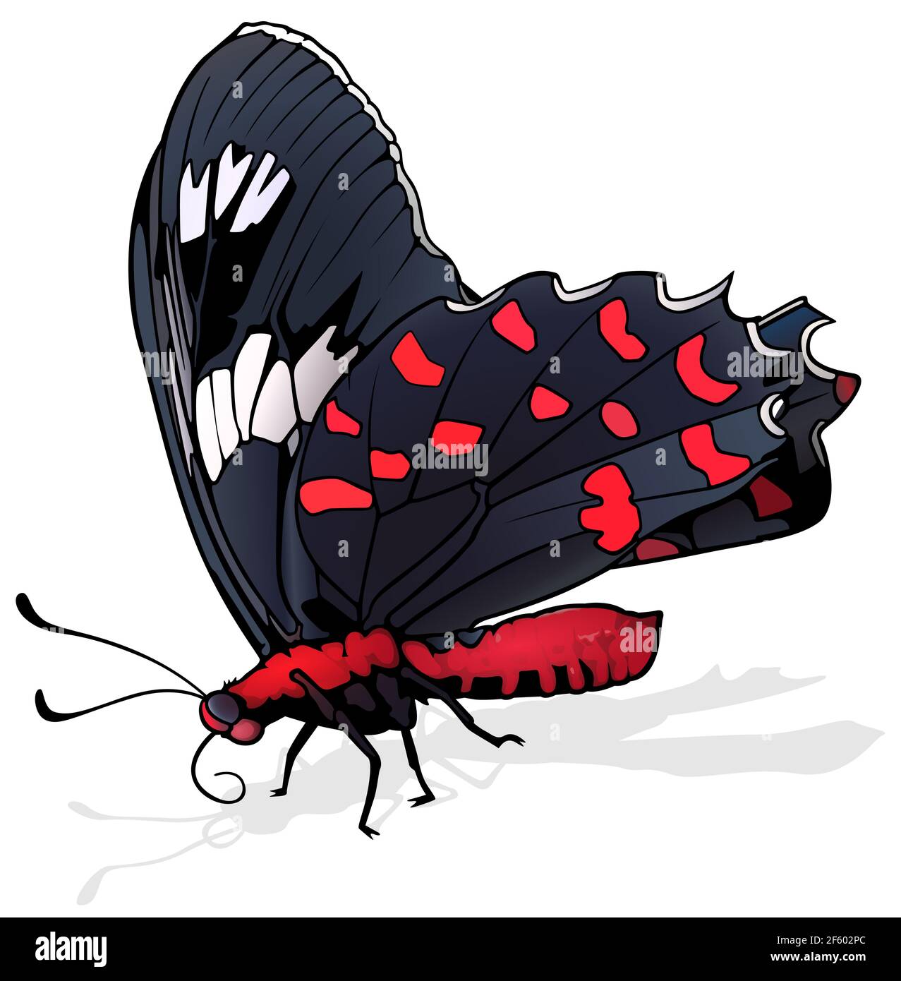 Pink Rose Butterfly Stock Vector Image & Art - Alamy