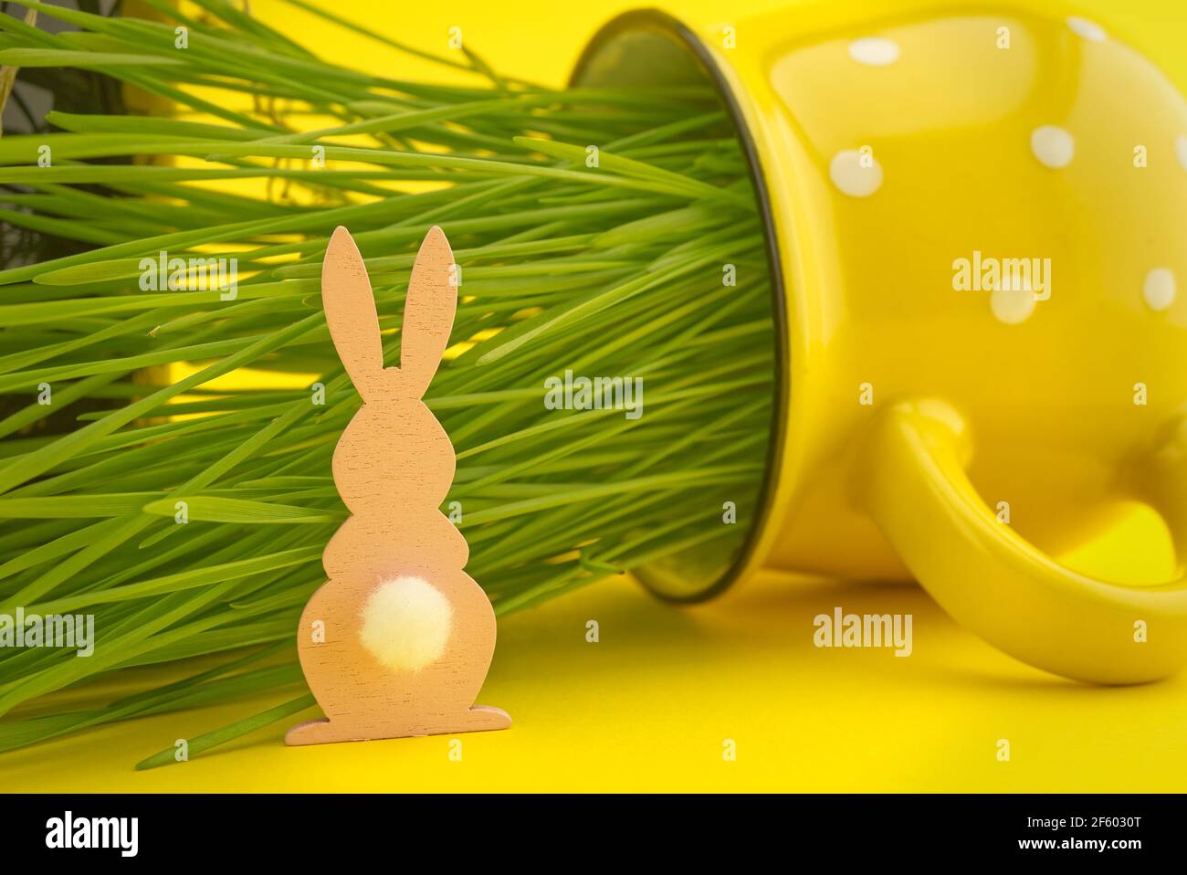 Wheat seedlings growing from a yellow cup and Easter Rabbit figure ...