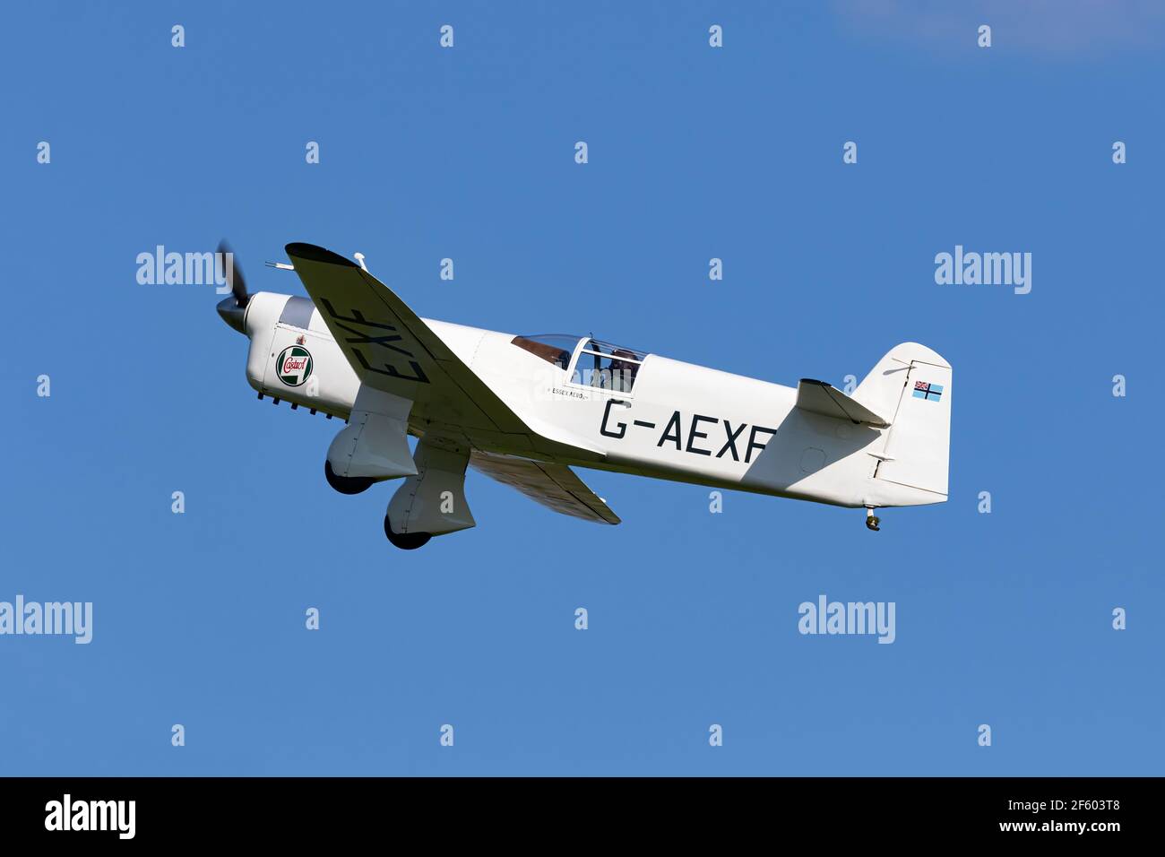 Percival P6 Mew Gull classic racing aircraft Stock Photo - Alamy