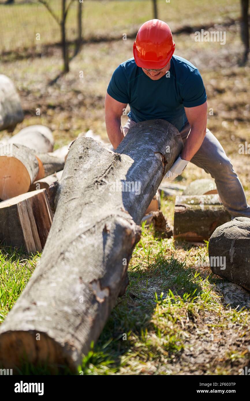 Hand sawn logs hi-res stock photography and images - Alamy