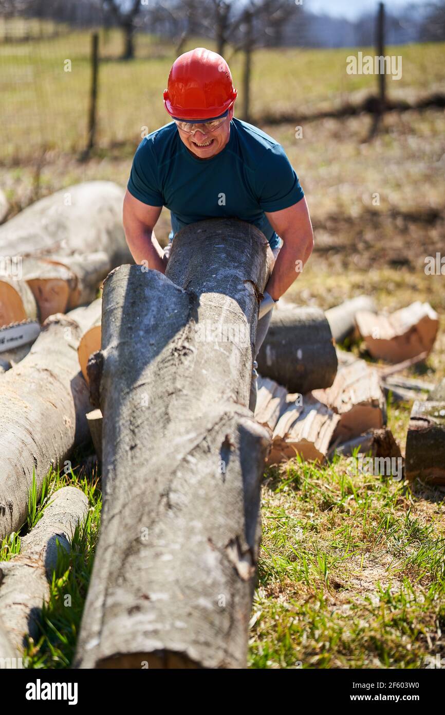 Hand sawn logs hi-res stock photography and images - Alamy
