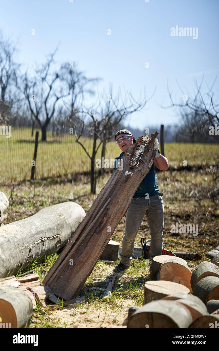 Hand sawn logs hi-res stock photography and images - Alamy