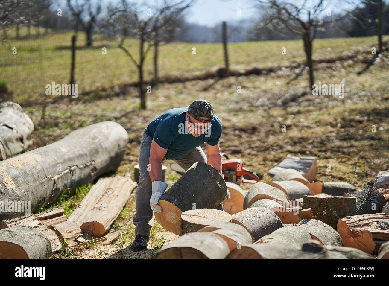 Hand sawn logs hi-res stock photography and images - Alamy