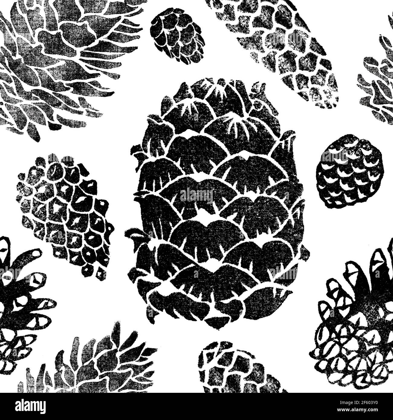 Coniferous cones seamless pattern isolated on white. Hand drawn ...