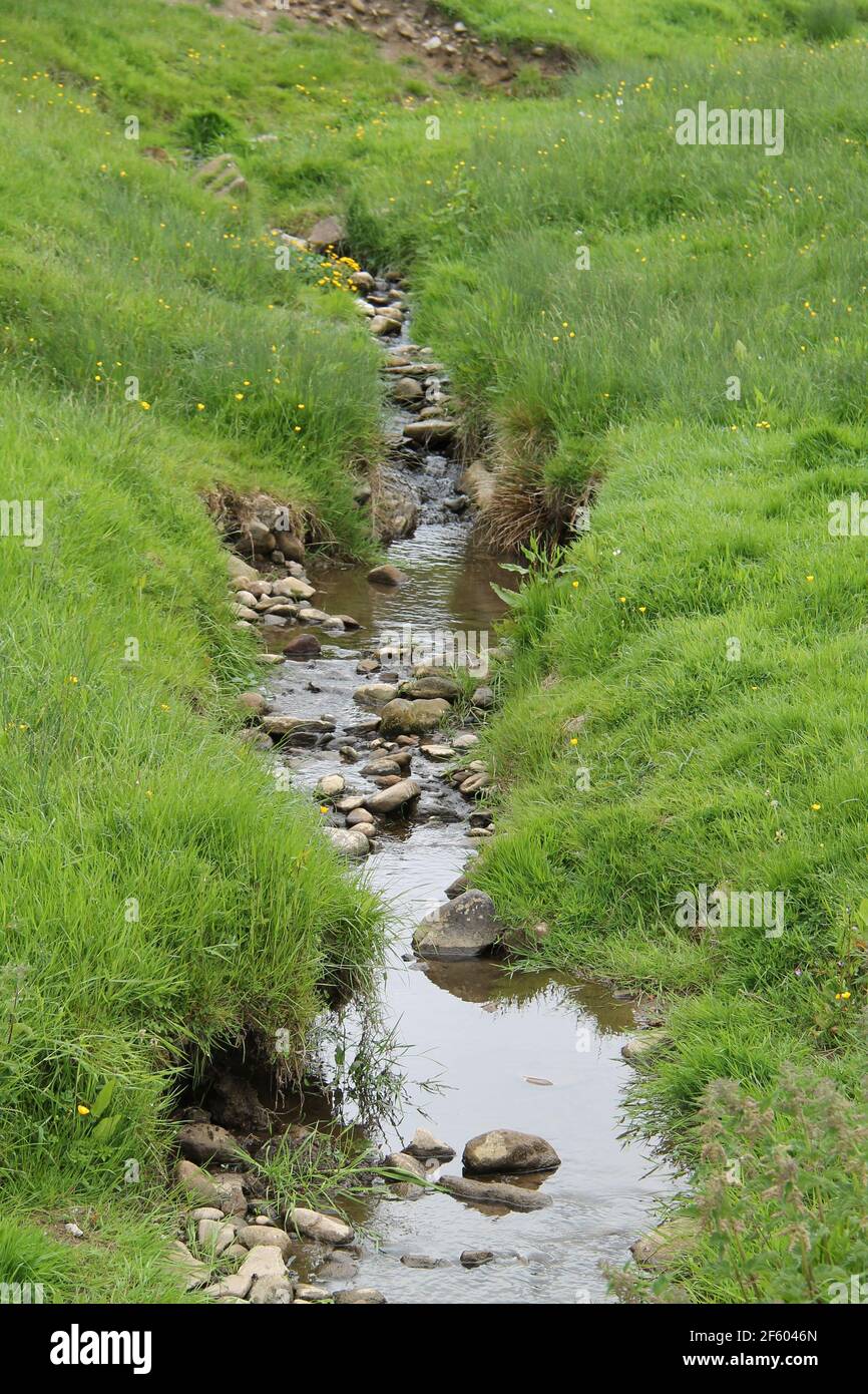 A Rambling Brook in a Rural Countryside Setting Stock Photo - Alamy