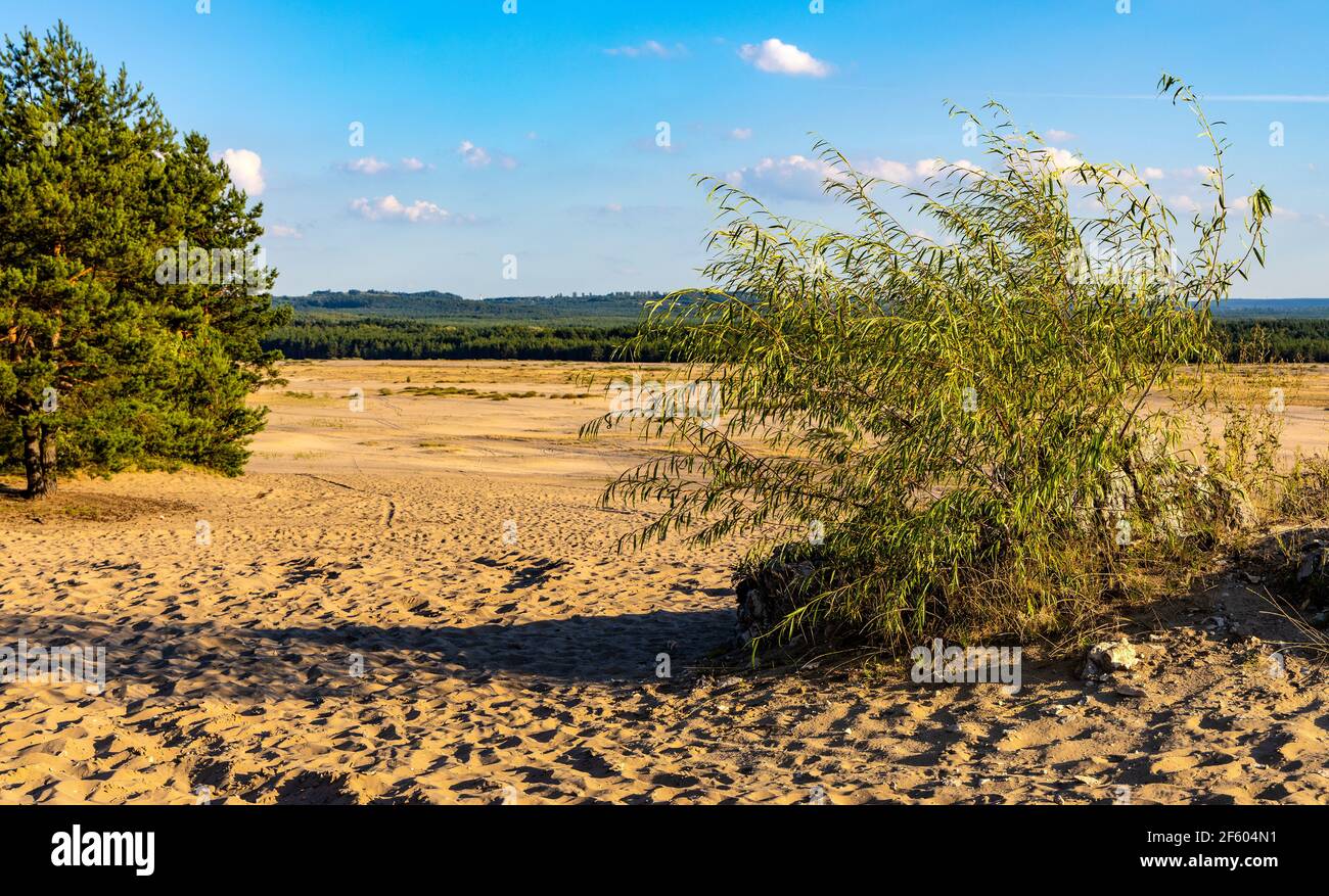 Scarce Vegetation High Resolution Stock Photography and Images - Alamy