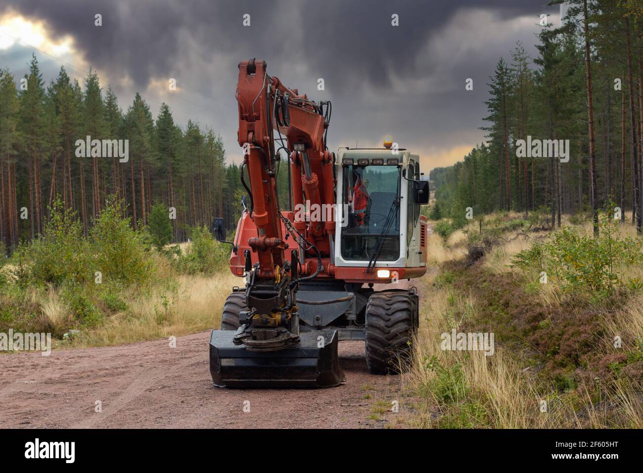 Orange Excavator Tractor, Digging In The Forest. Cloudy sky Stock Photo ...