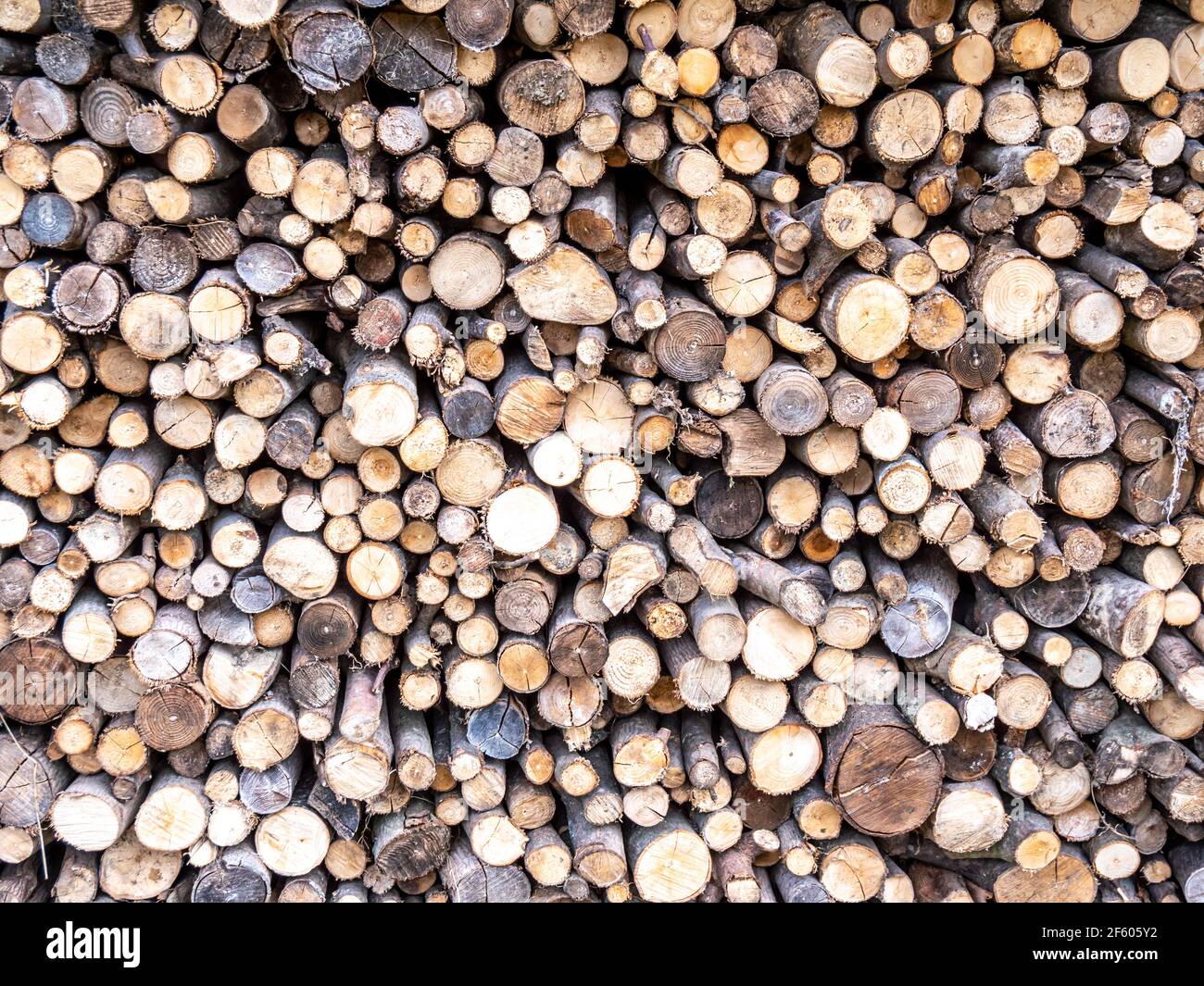 Split softwood stack hi-res stock photography and images - Alamy