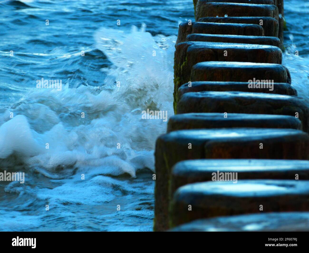 Beaking hi-res stock photography and images - Alamy
