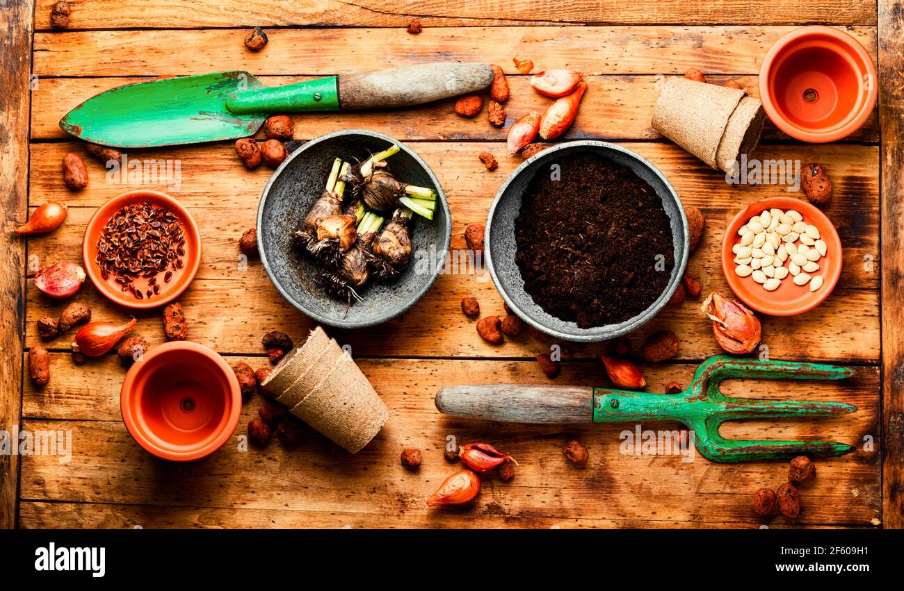 Set of plant seeds,bulbs,pots and gardening tools.Planting seedlings ...
