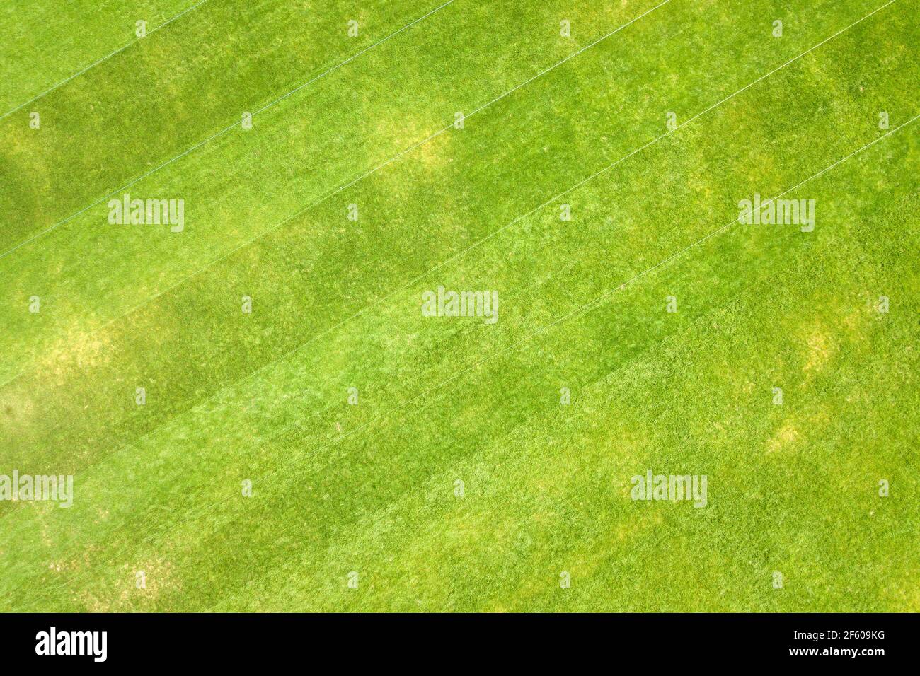 Close up aerial view of surface of green freshly cut grass on football ...