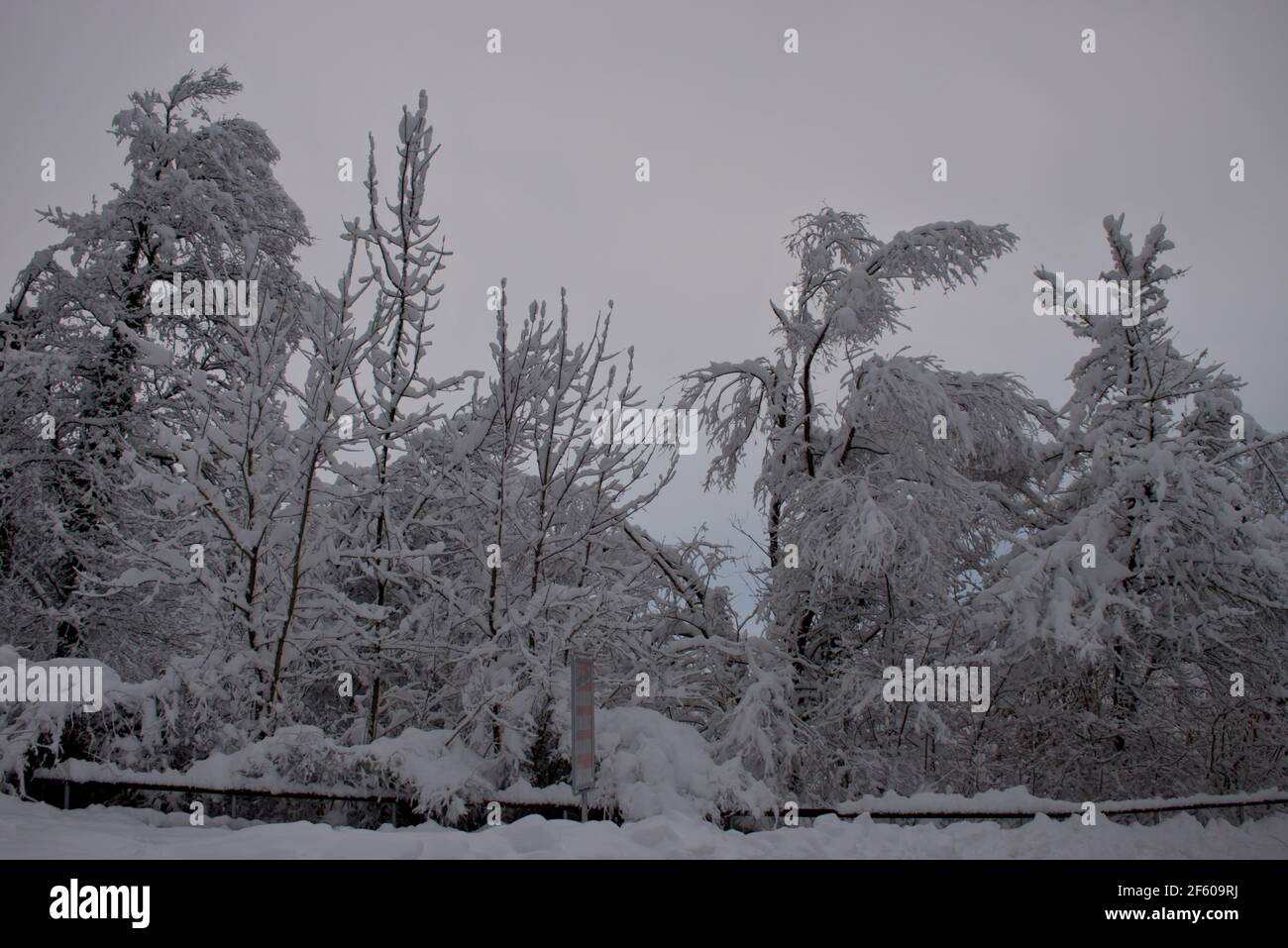 Buchs snow hi-res stock photography and images - Alamy