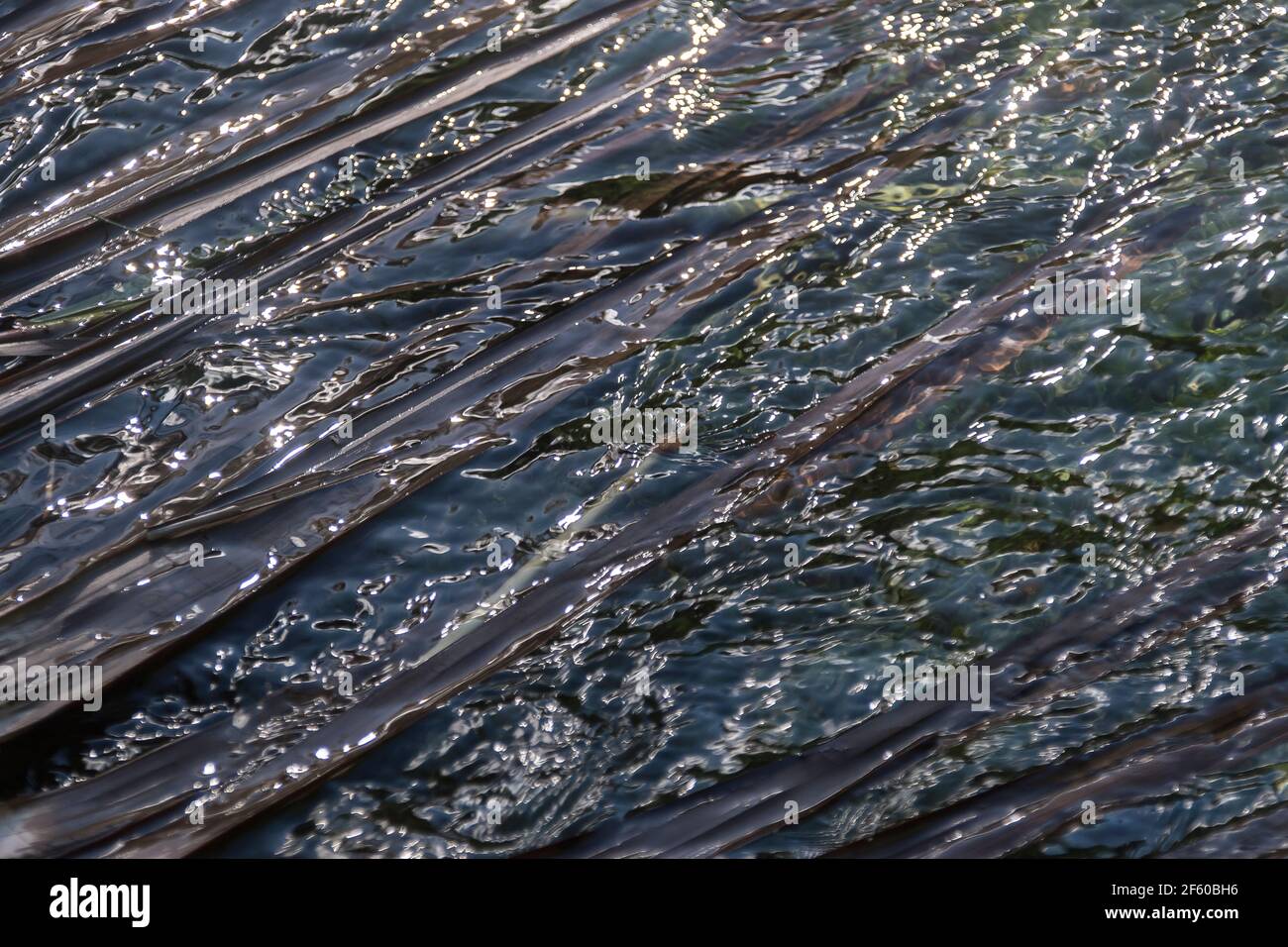 Sunlit flood water flowing over fallen palm frond making light diagonal ...