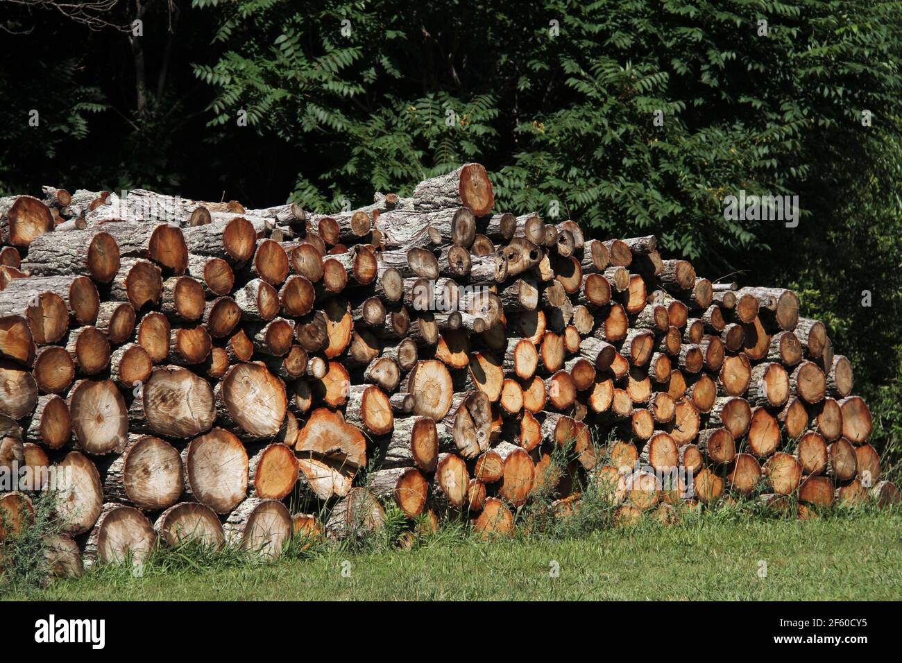 Firewood piled hi-res stock photography and images - Alamy