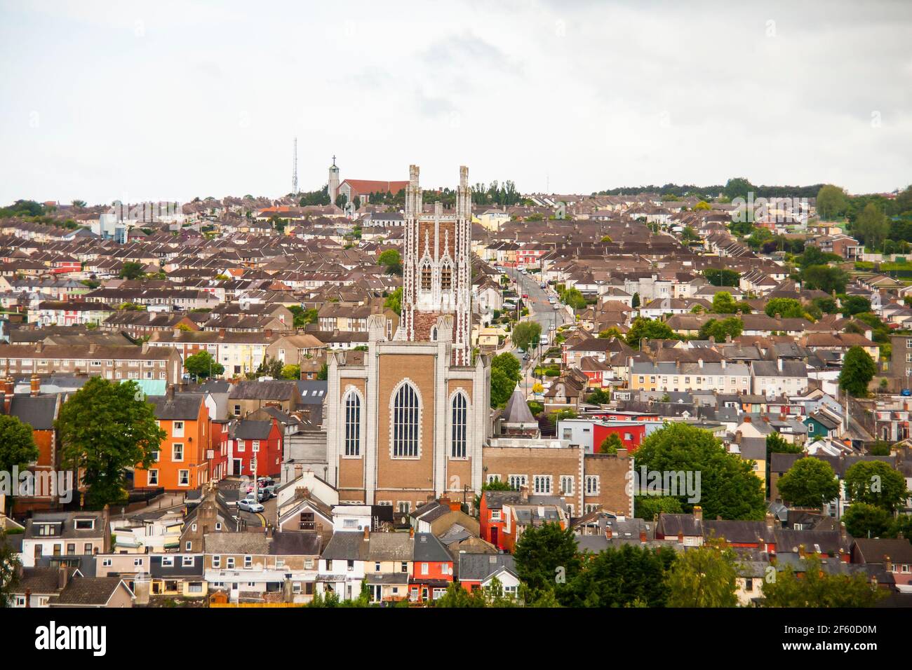 West cork flora hi-res stock photography and images - Alamy