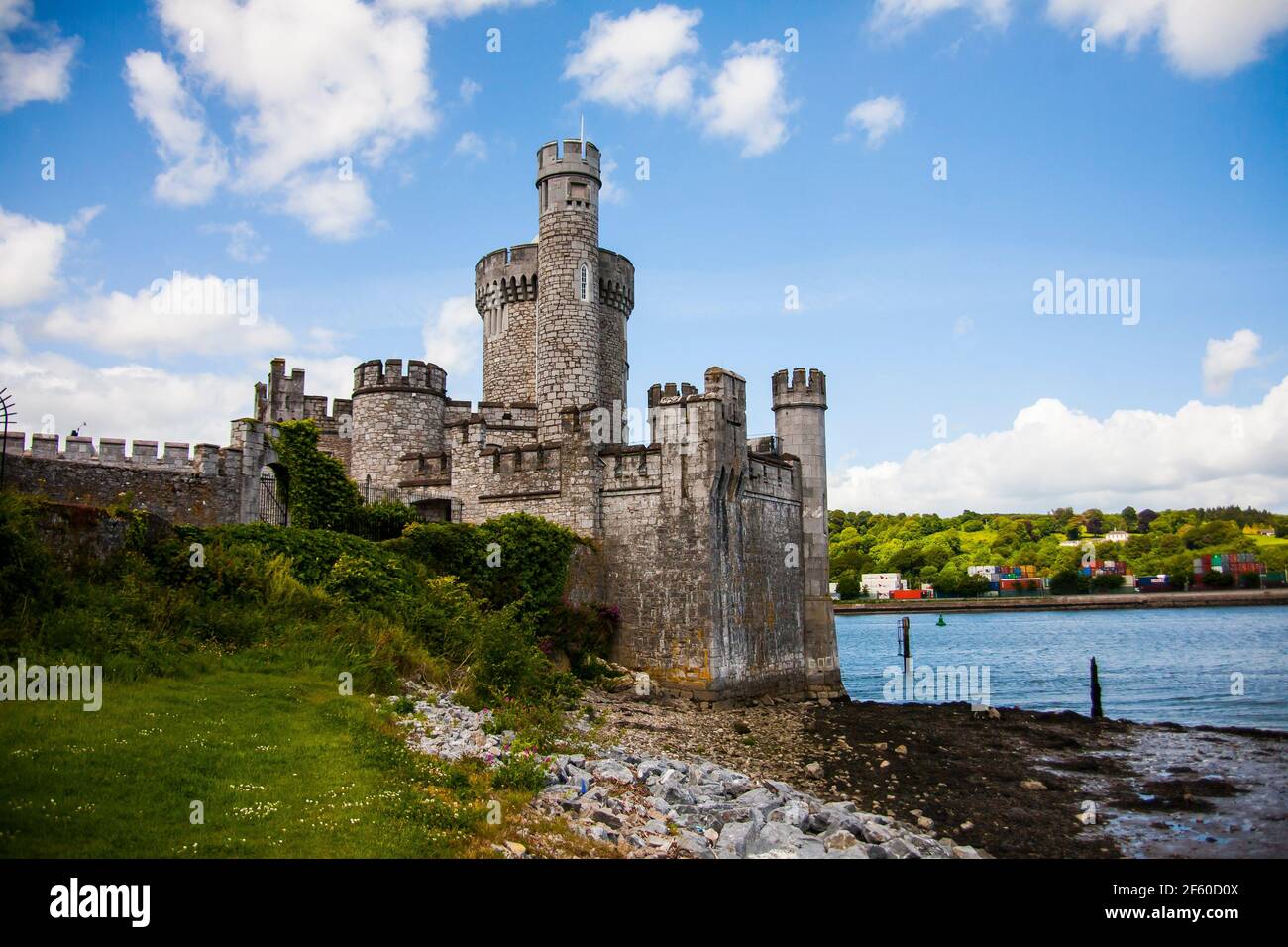 West cork flora hi-res stock photography and images - Alamy