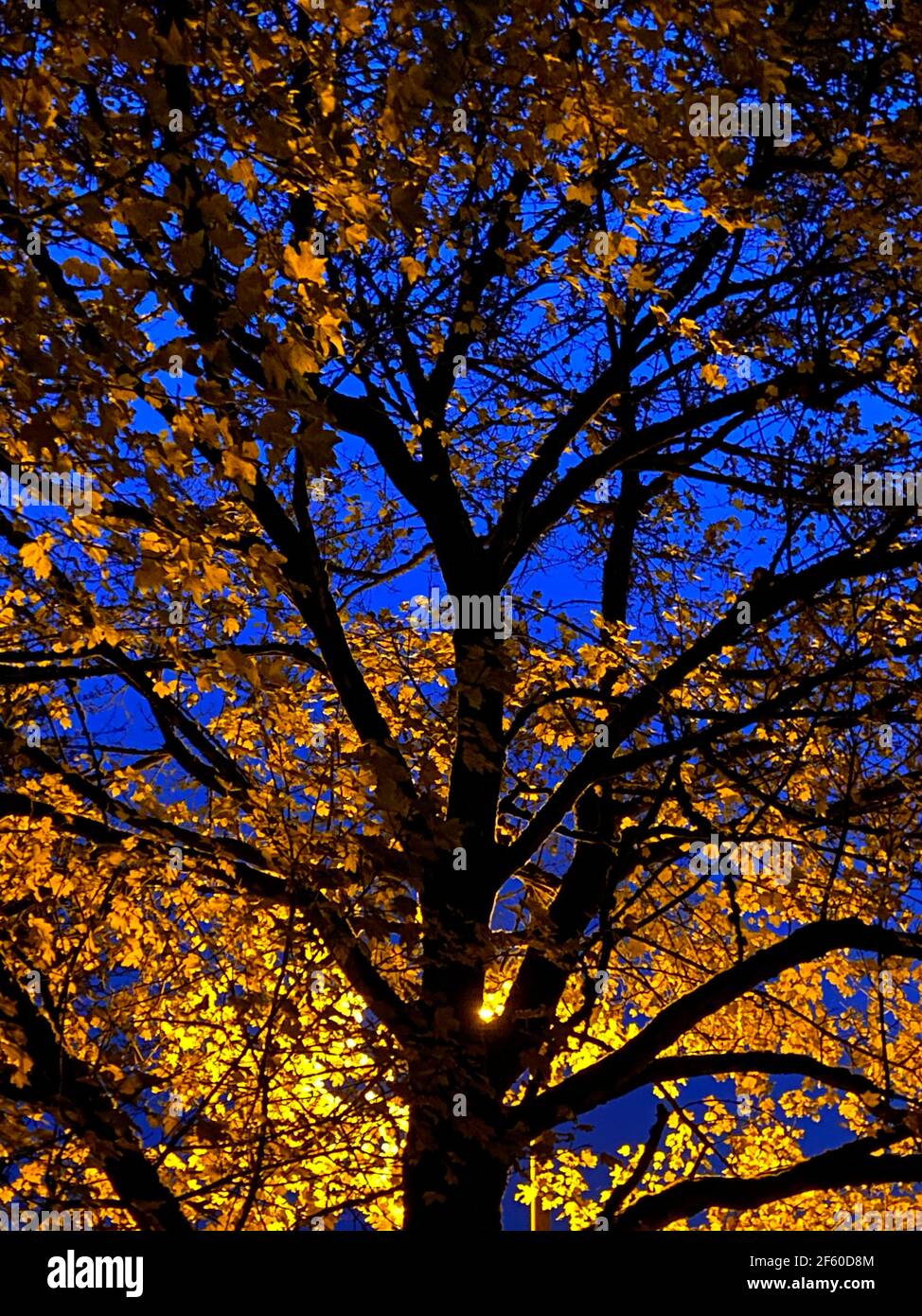 Sodium street light hi-res stock photography and images - Alamy