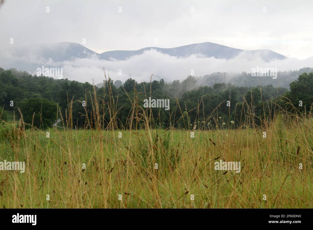 Summer landscape in rural Virginia, USA Stock Photo - Alamy