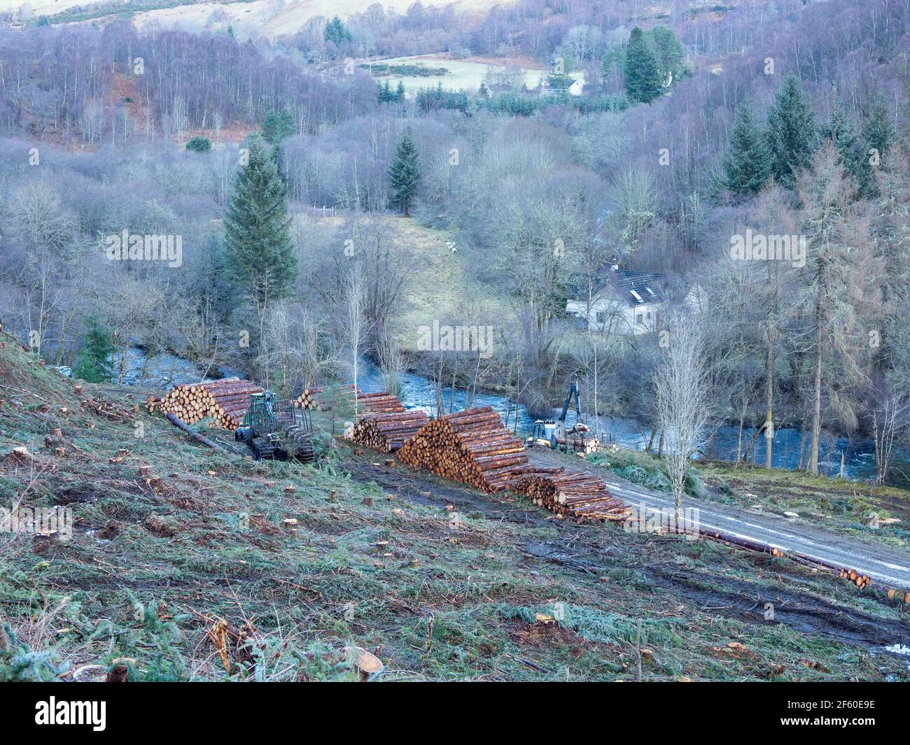 Forestry operations hi-res stock photography and images - Alamy