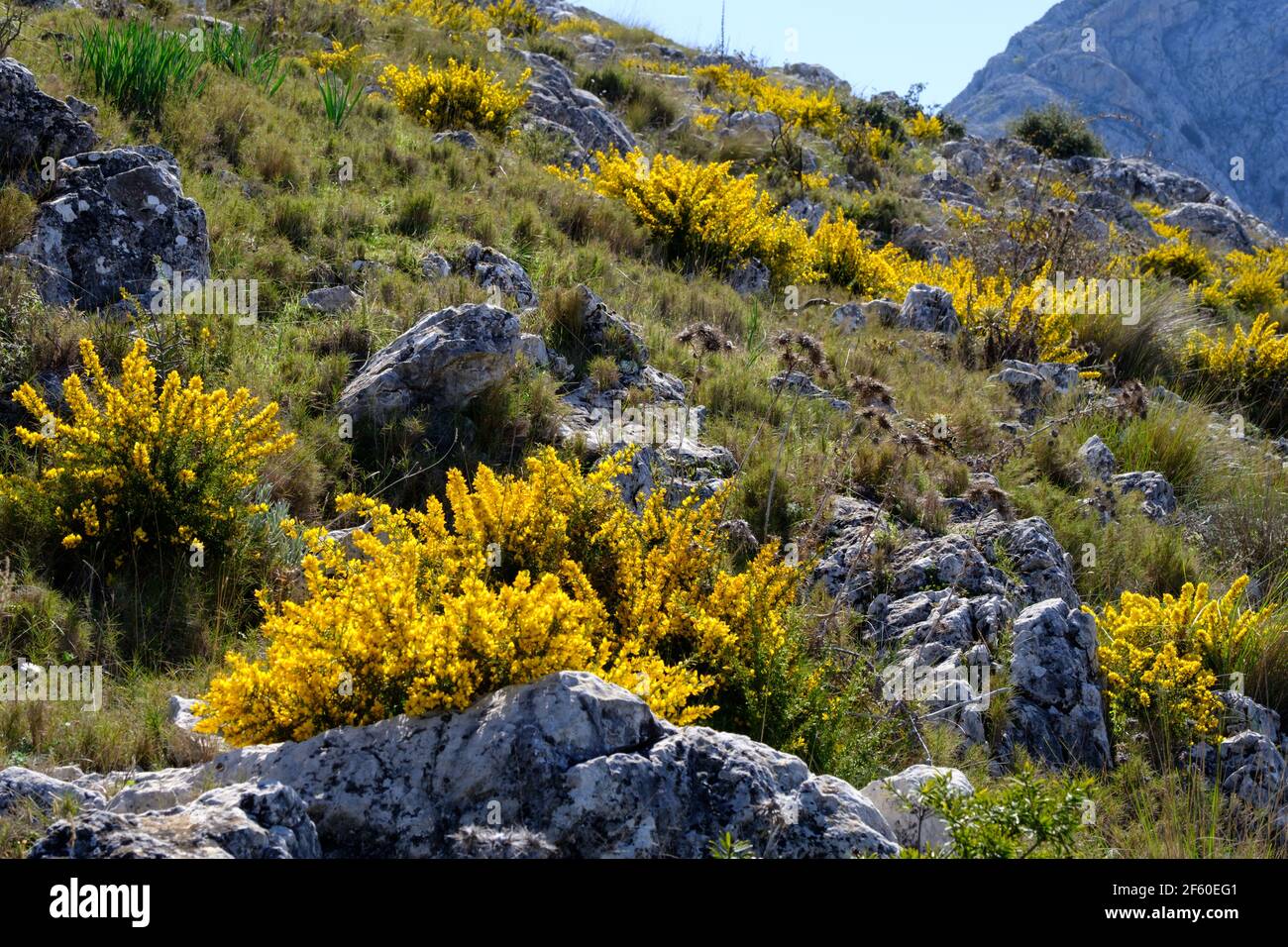 Hiking La Cuna trail and Tajo de la U, Zafarraya pass, Andalucía, Spain ...