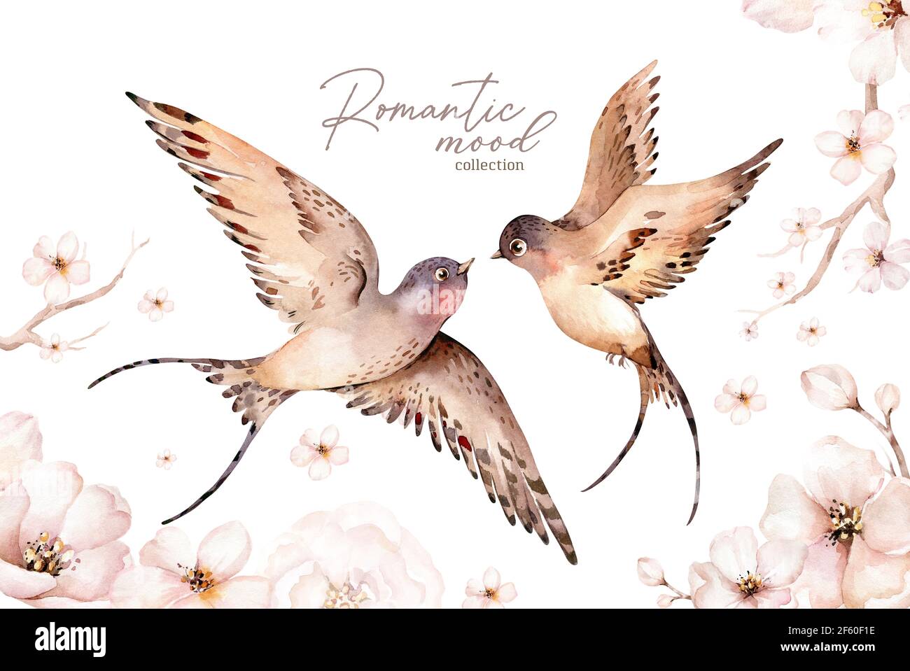 Watercolor spring flying swallows isolated and blossom flowers on white ...