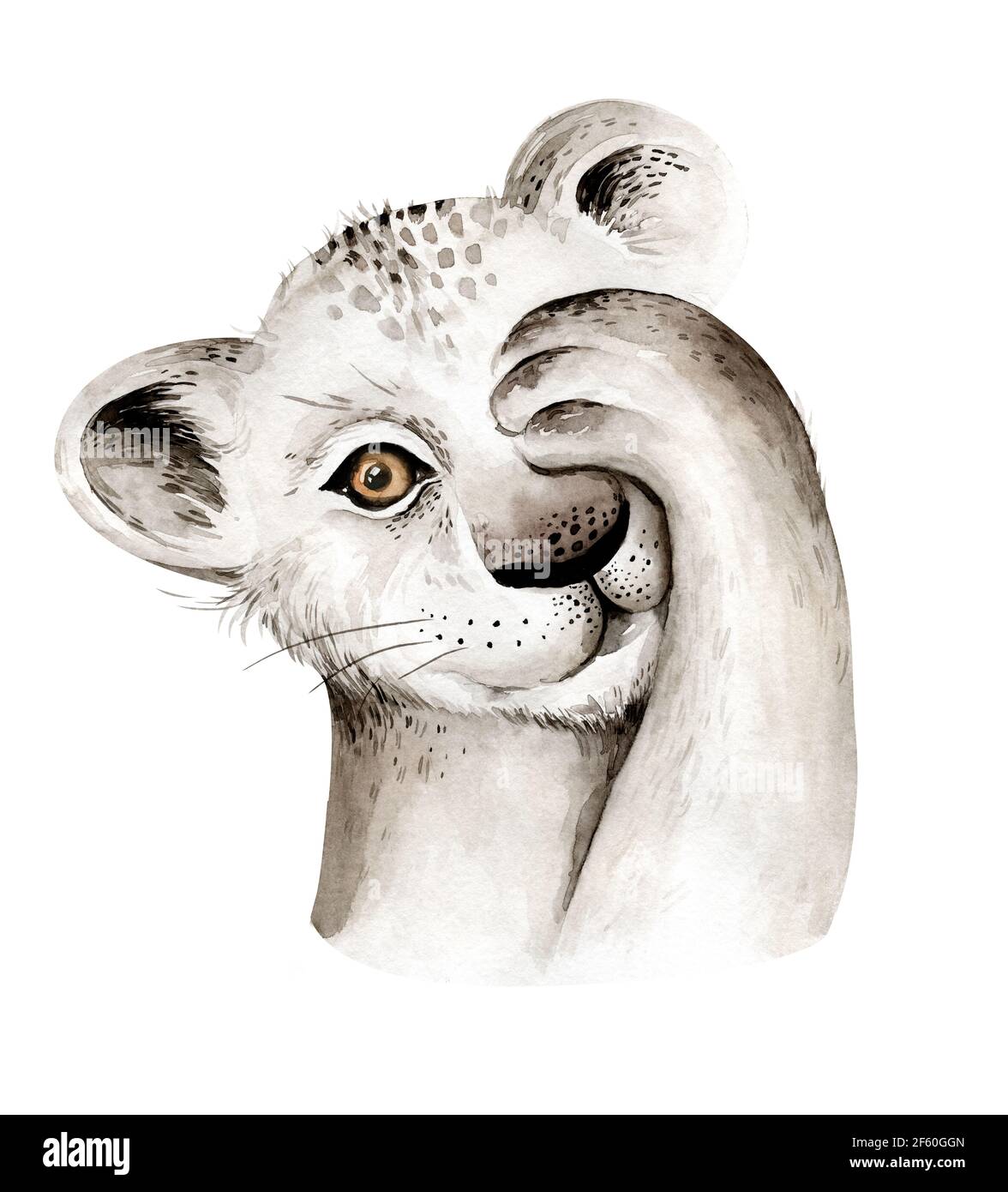 Africa watercolor savanna lion, animal illustration. African Safari ...