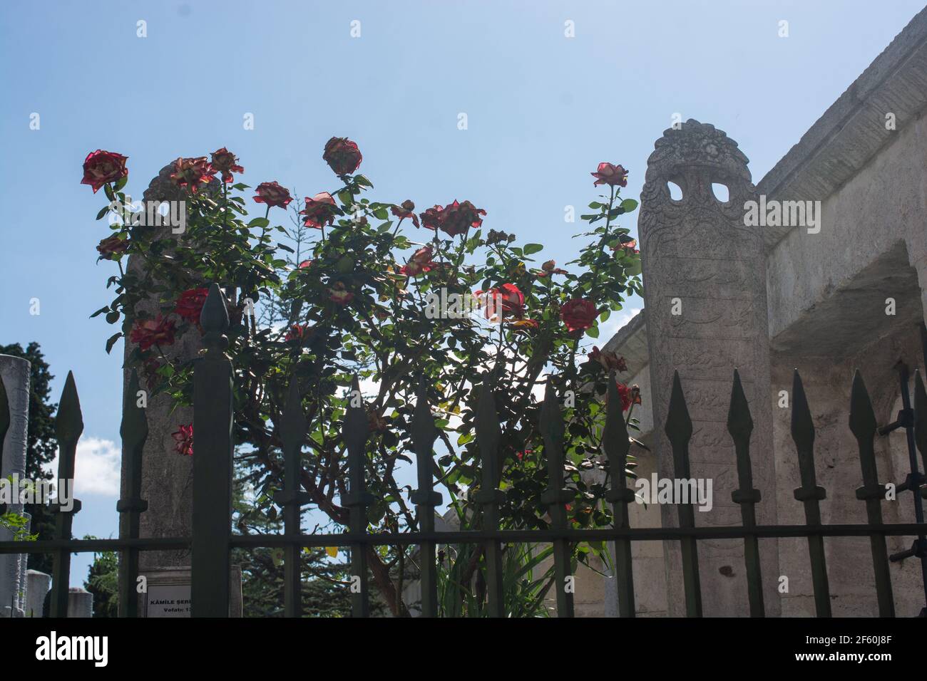 Ottoman style decorative art in marble tomb in cemetery Stock Photo - Alamy