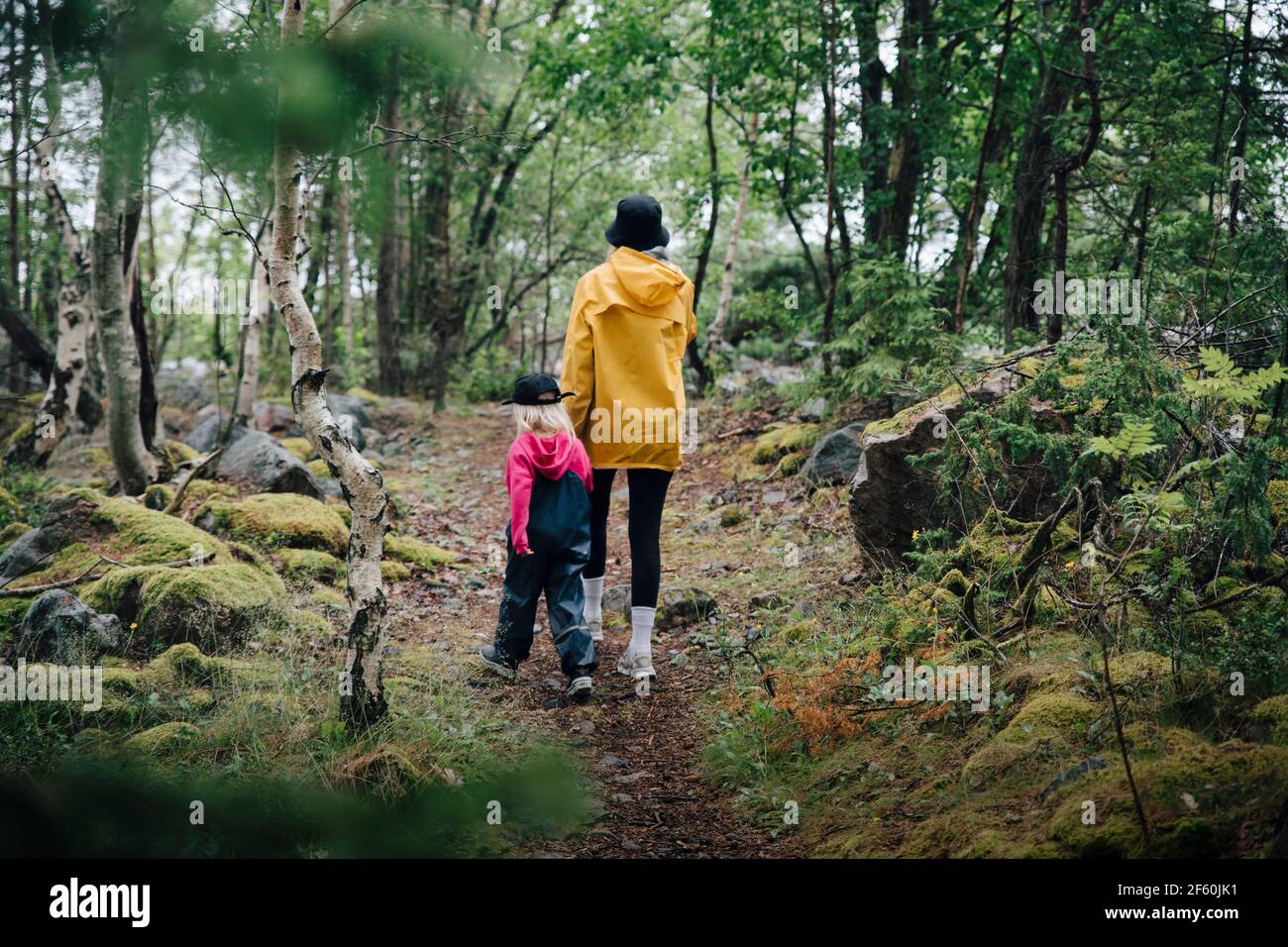 Rear view of mother and daughter walking in forest Stock Photo - Alamy