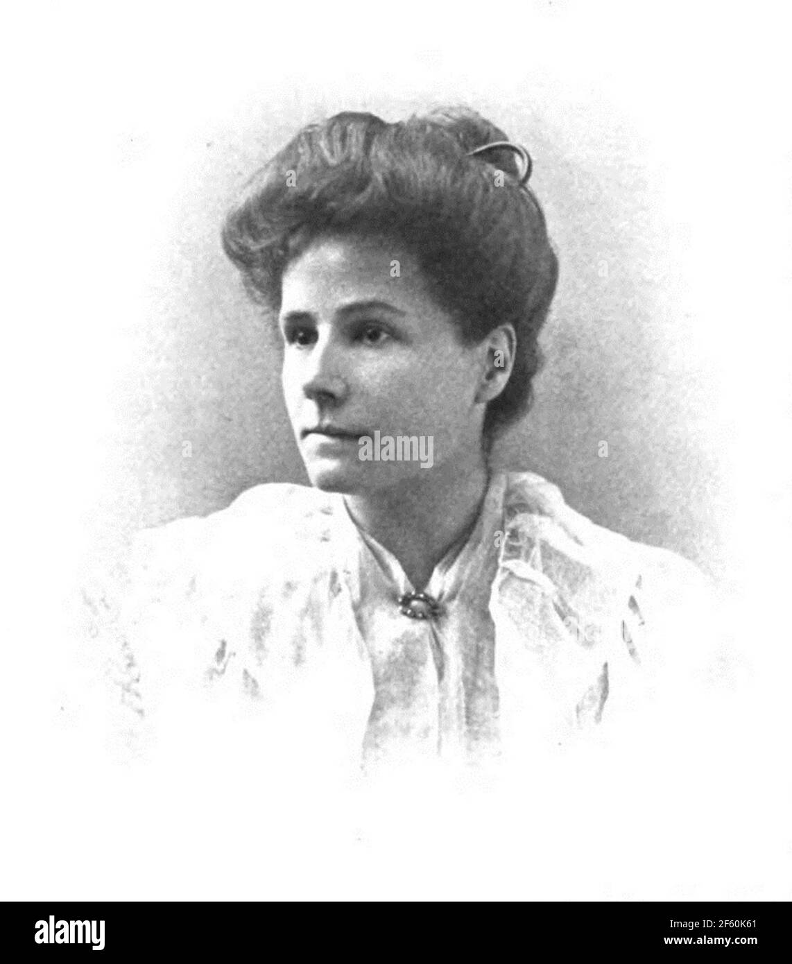 Charlotte Mew Trees Are Down at Daniel Hodges blog