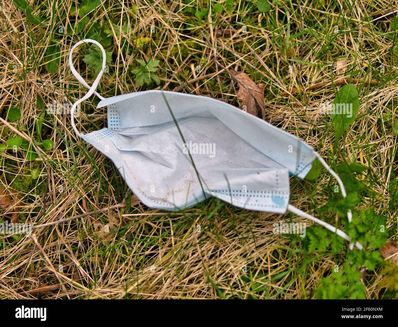 A used, blue surgical mask used for COVID-19 PPE protection, discarded ...